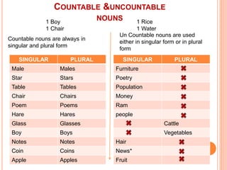 Countable and uncountable nouns | PPTX
