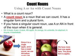 Count Noun