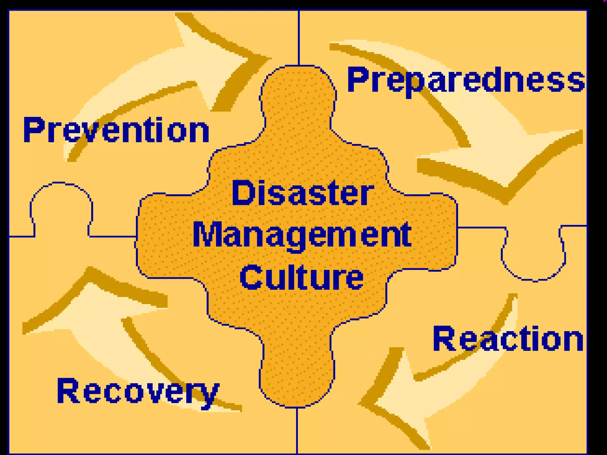 Counter Disaster Planning, Response And Recovery | PPS