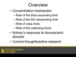 Countercurrent mechanism in Kidney | PPTX