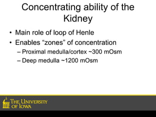 Countercurrent mechanism in Kidney | PPTX