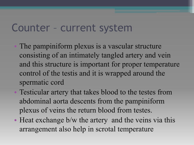 Counter current heat mechanism | PPT