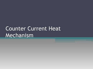Counter current heat mechanism | PPT