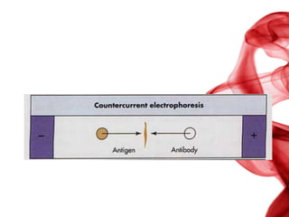 Counter Current Immunoelectrophoresis | PPT