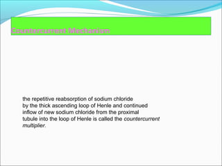 Counter current mechanism | PPT