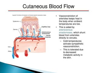 Countercurrent mechanism | PPTX