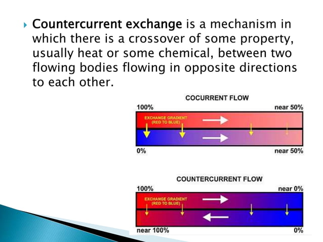 Countercurrent mechanism | PPTX
