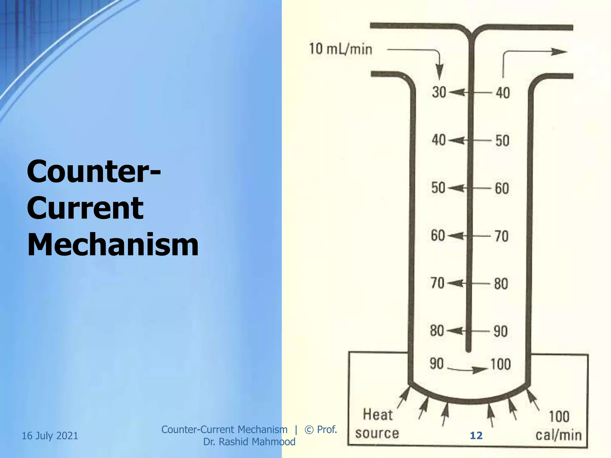 Counter current mechanism | PPT