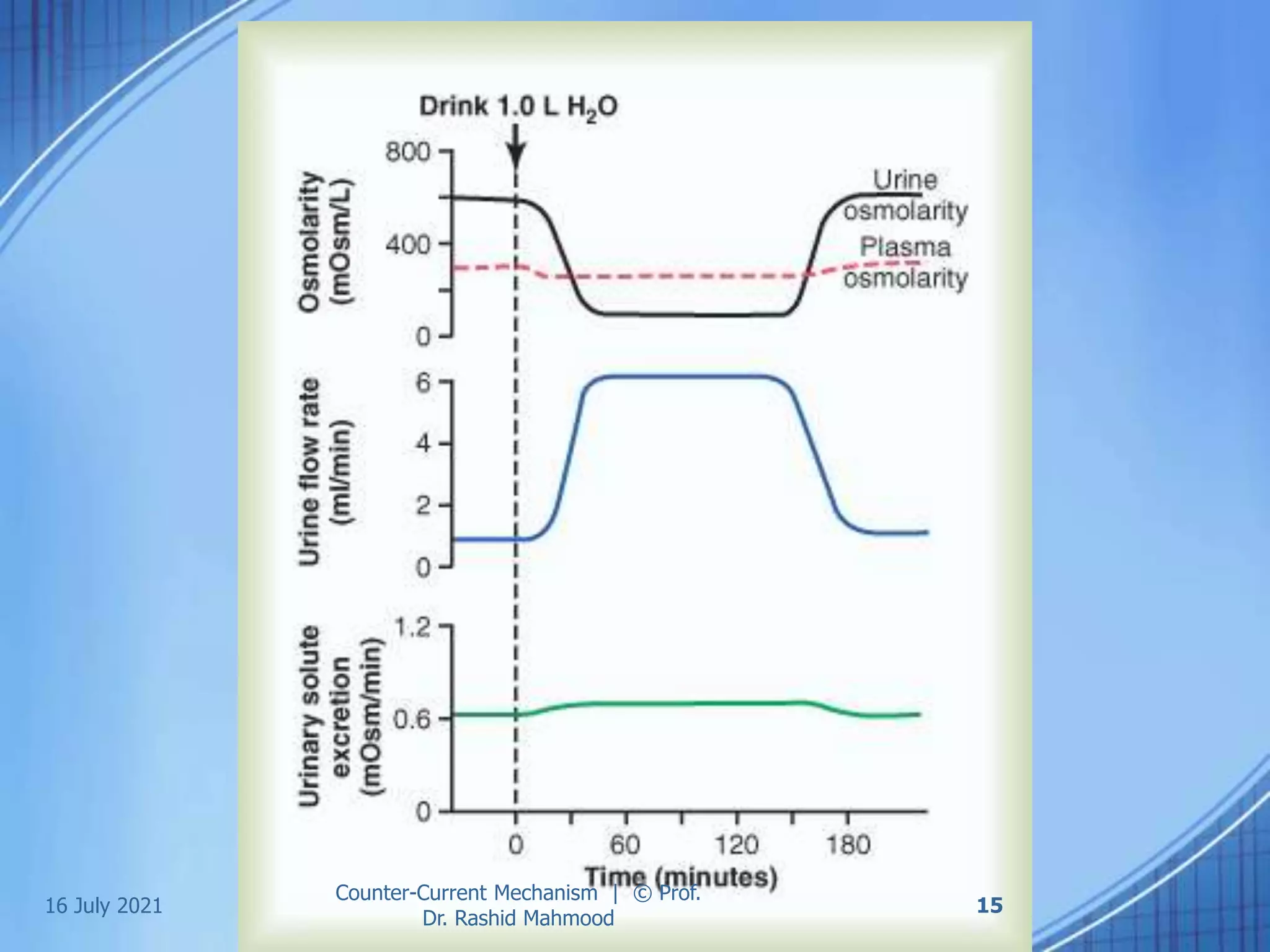 Counter current mechanism | PPT | Chemistry | Science