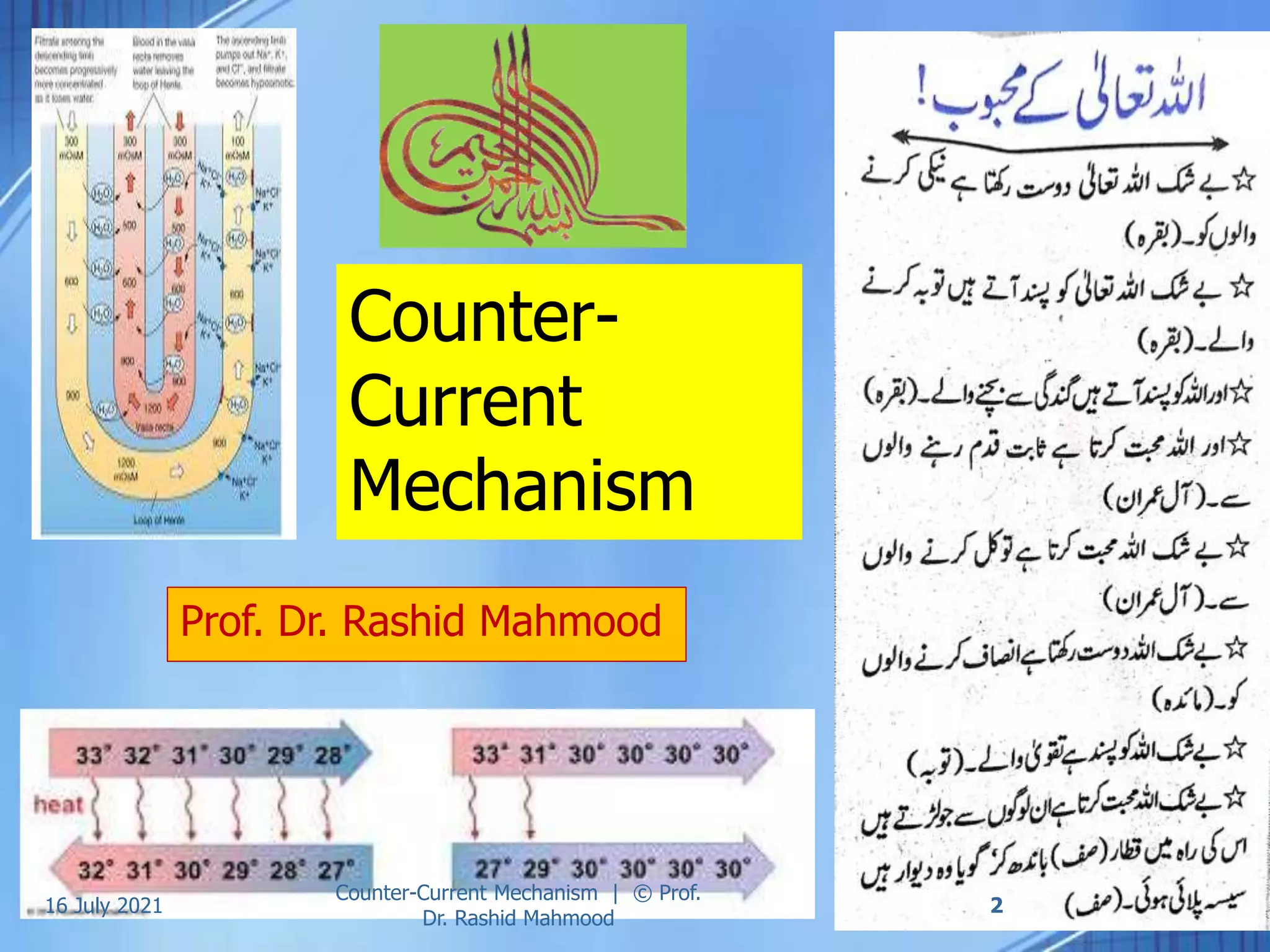 Counter current mechanism | PPT