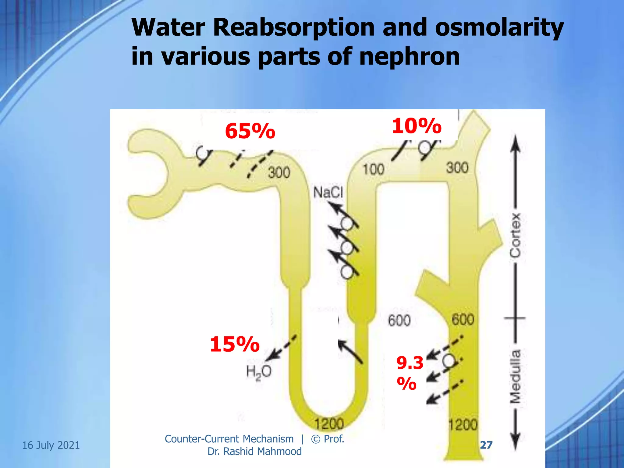 Counter current mechanism | PPT