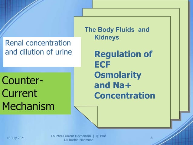 Counter current mechanism | PPT | Chemistry | Science