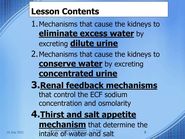 Counter current mechanism | PPT | Chemistry | Science
