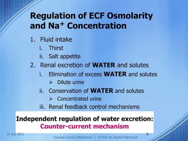 Counter current mechanism | PPT | Chemistry | Science