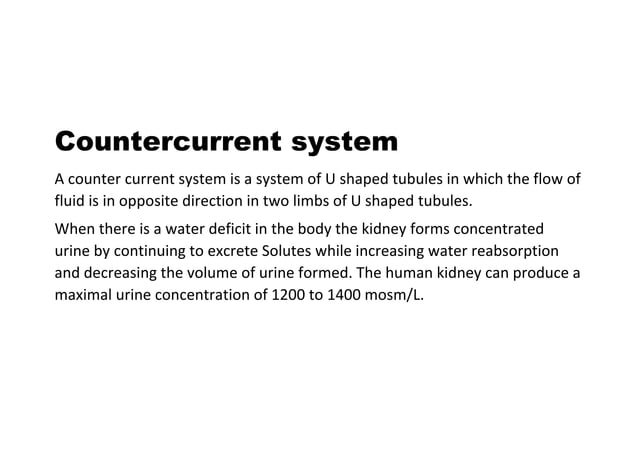 Counter current mechanism.docx | Chemistry | Science