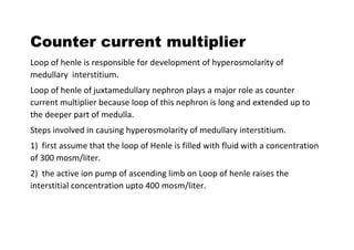 Counter current mechanism.docx