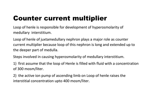 Counter current mechanism.docx | Chemistry | Science
