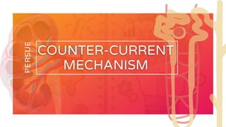 Counter Current Mechanism Human Physiology.pptx