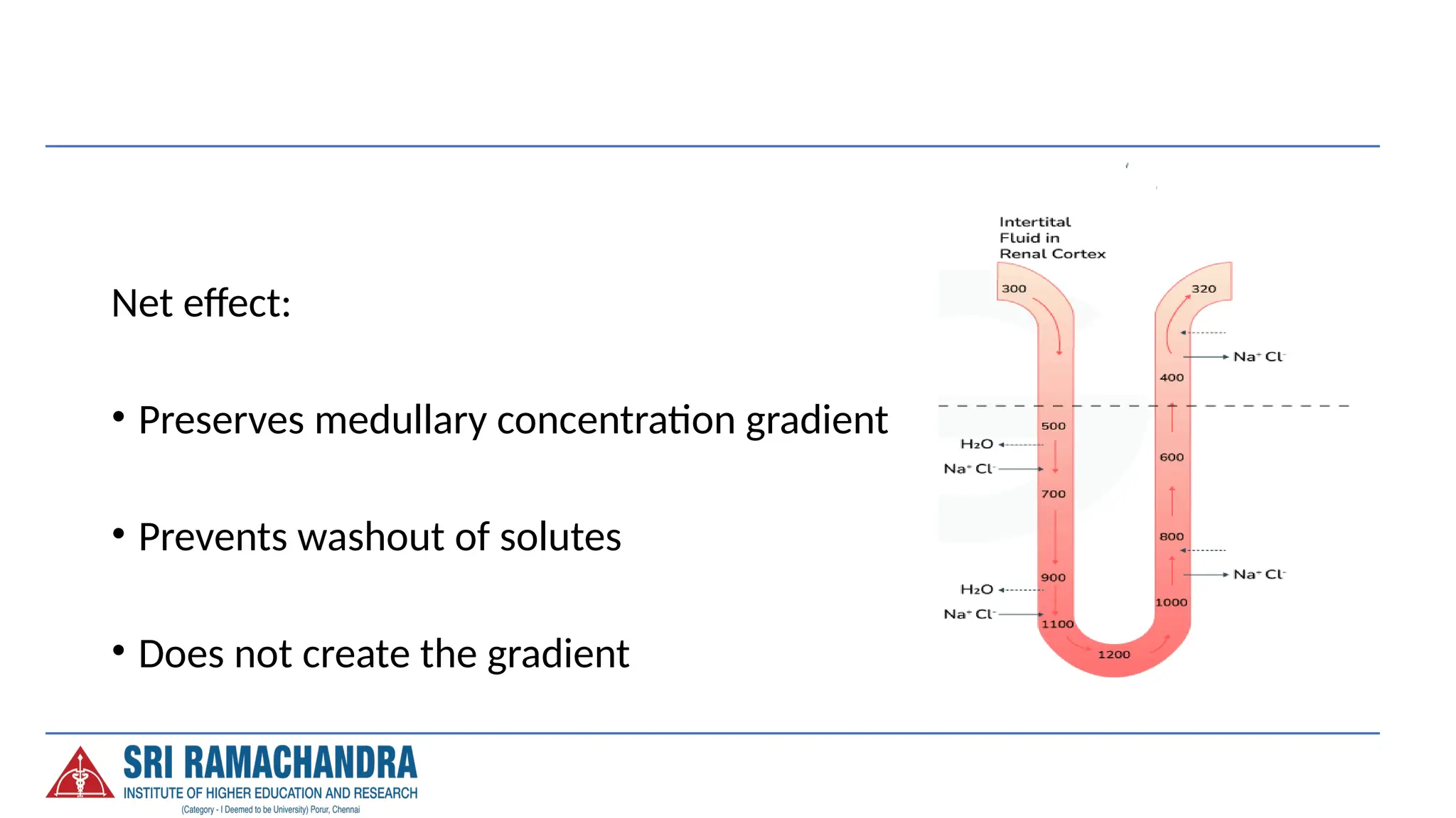 COUNTER CURRENT MECHANISM in excretion.pptx