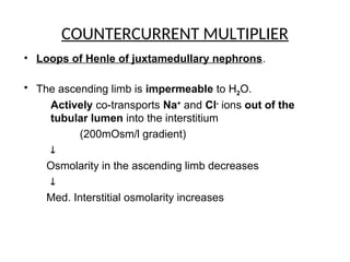 Counter current mechanism-physiology.ppt