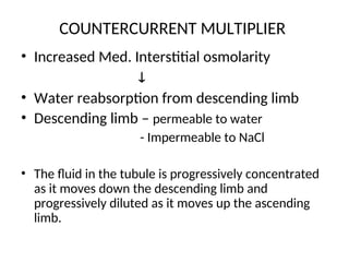 Counter current mechanism-physiology.ppt
