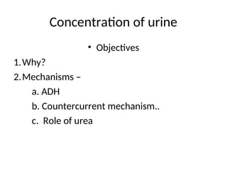 Counter current mechanism-physiology.ppt