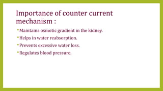 counter current mechanism 2.pptx hdnjdbdhdbsbe | PPTX