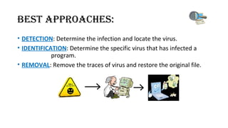 Counter Measures Of Virus | PPT