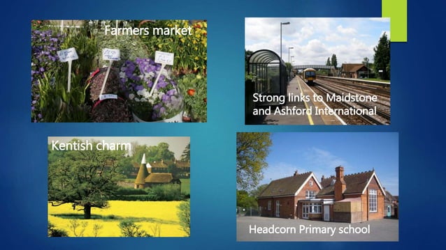 Counter urbanisation Human Geography | PPTX