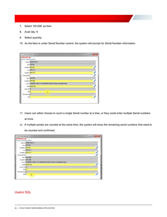 Counting -cycle_count_using_mobile_application | PDF