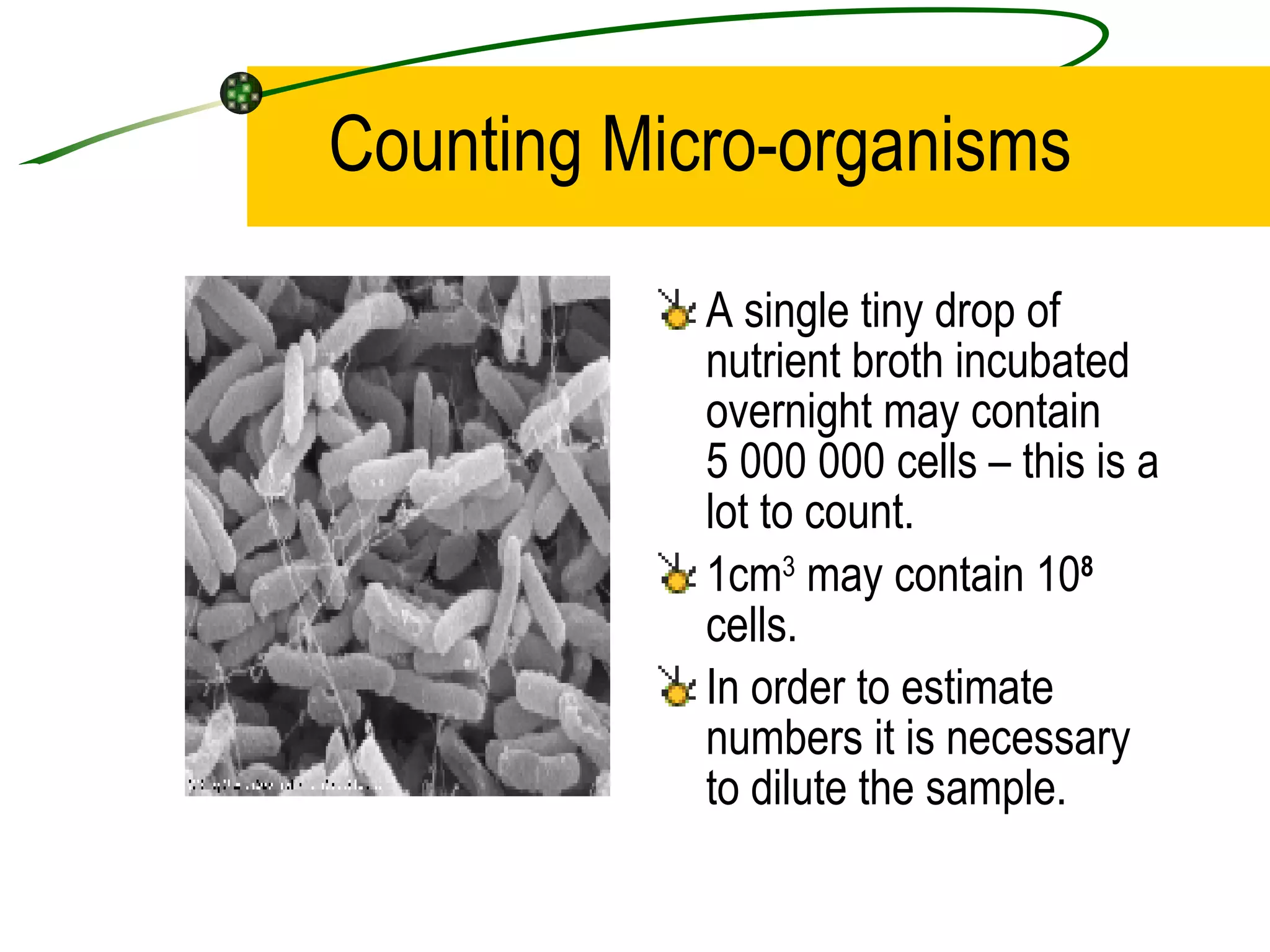 Counting Micro Organisms | PPT