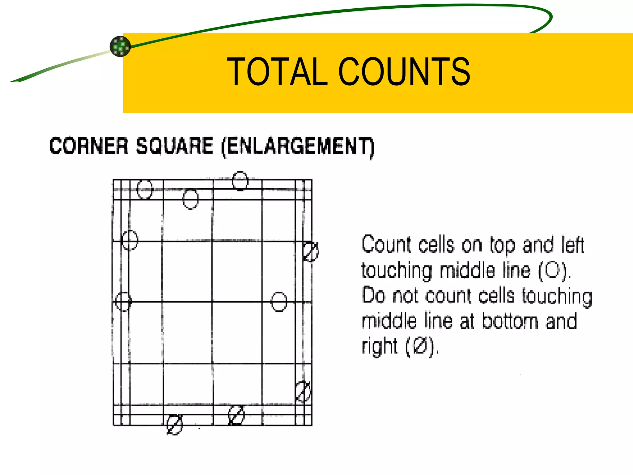 Counting Micro Organisms | PPT