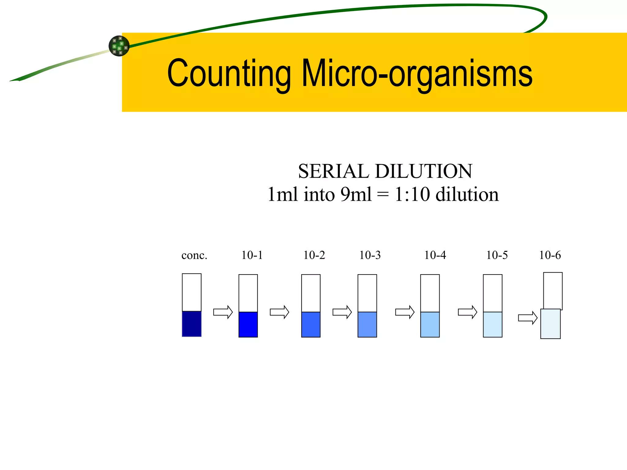 Counting Micro Organisms | PPT