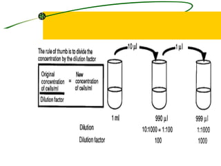 Counting Micro Organisms | PPT