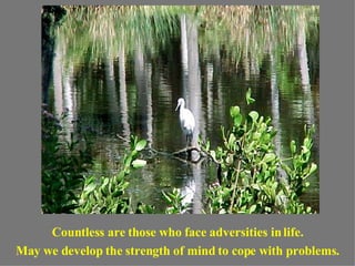 Counting Our Blessings | PPT