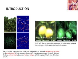 Counting apples and oranges with deep learning | PDF