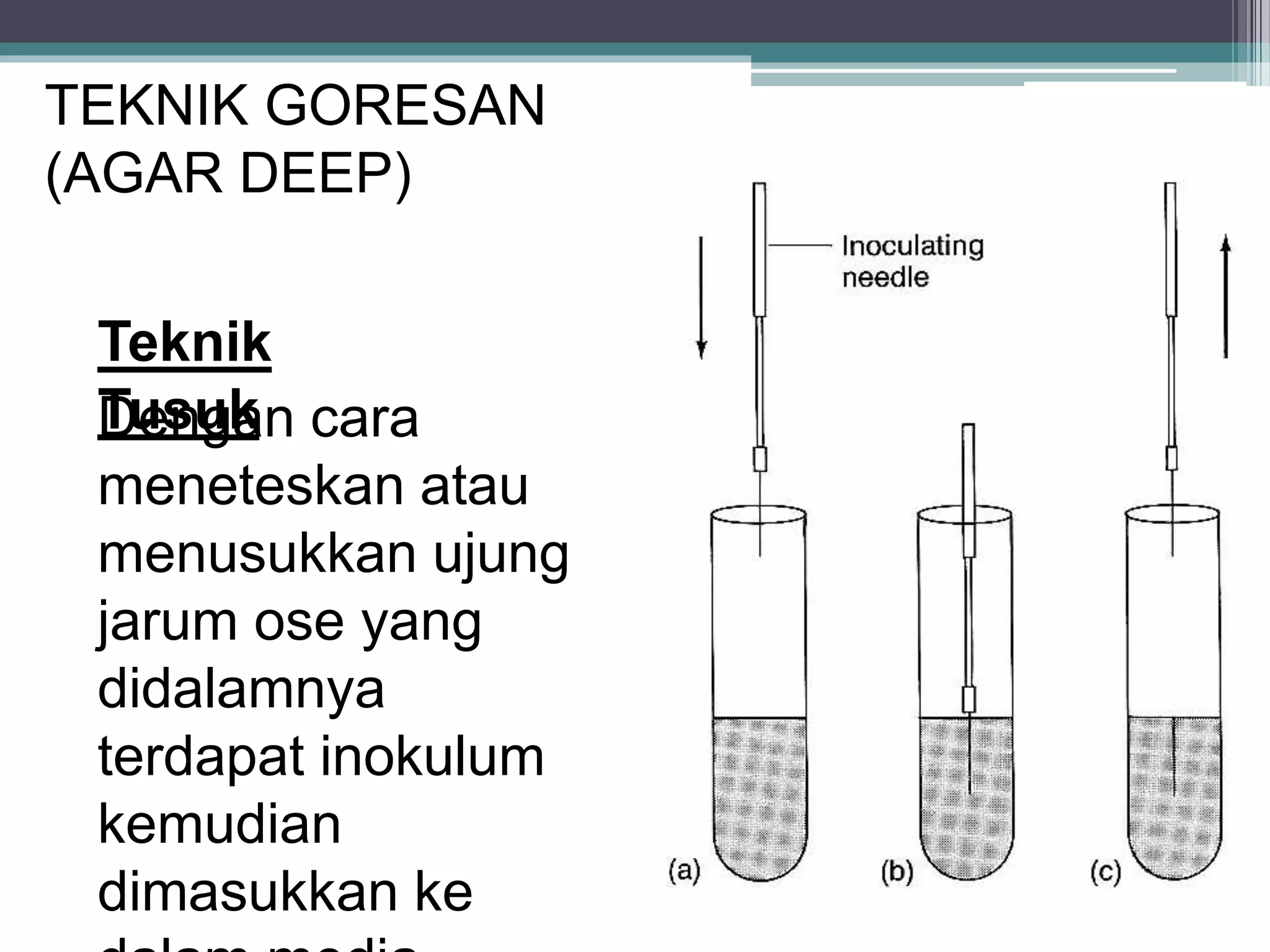 Counting Chamber | PPTX