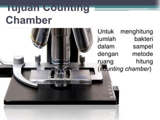 Counting Chamber | PPTX