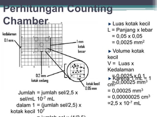Counting Chamber | PPTX