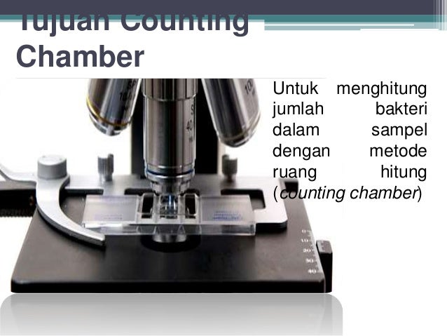 Counting Chamber