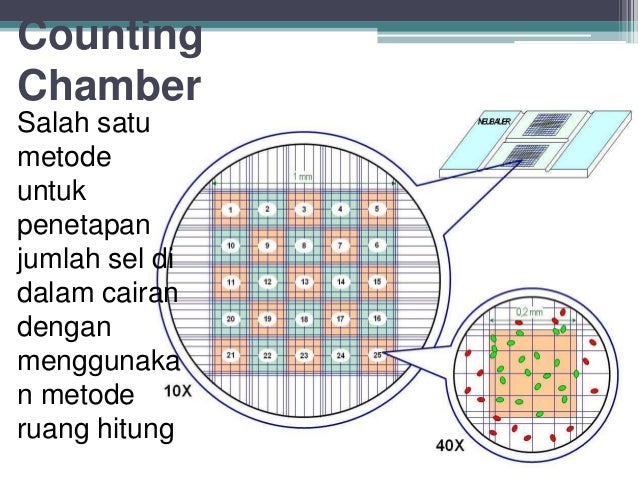 Counting Chamber