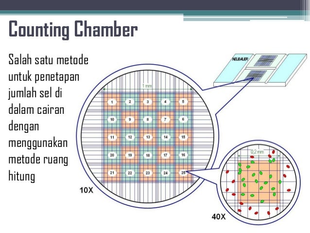 Counting Chamber