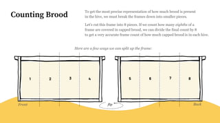 Counting Frames - Learn how to quantify data | PPT