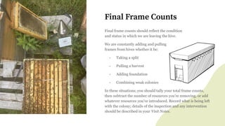 Counting Frames - Learn how to quantify data | PDF