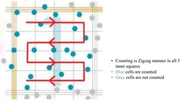 Counting of rbc and wbc | PPTX