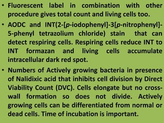 Counting Procedures.pptx
