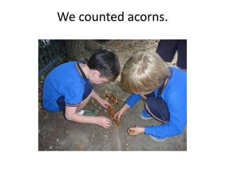 Counting term 2 | PPT