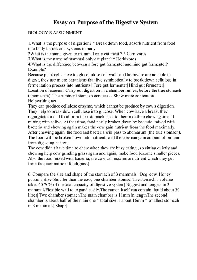 Count Of Monte Cristo Essay | PDF