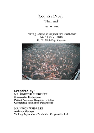 Country Paper Word | DOC