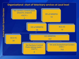 Cameroon animal health system & emergency management system | PPTX